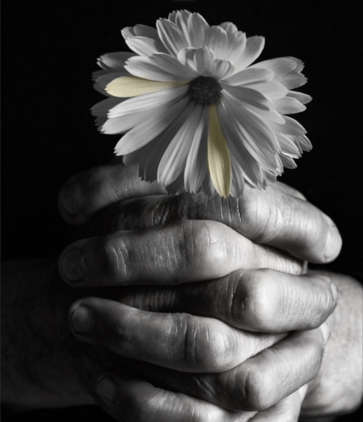 Eight-Week Grief Series